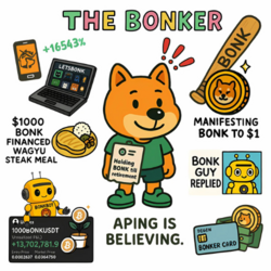 Bonker Tendances historiques des prix : données de marché et graphiques ...